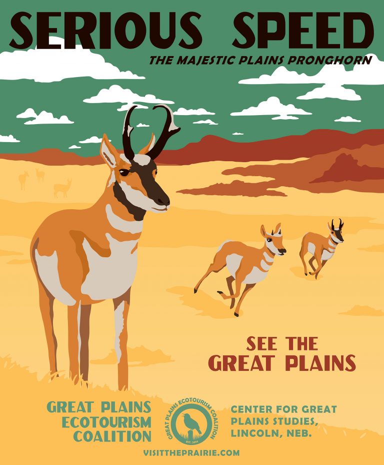 Introducing the pronghorn poster, “Serious Speed” | Visit The Prairie ...
